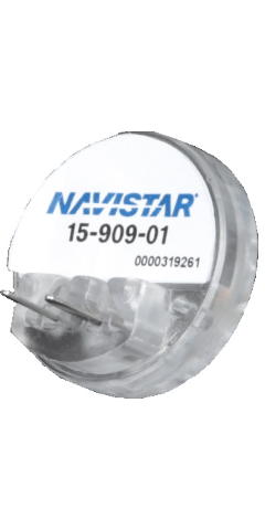 Noid Light | International