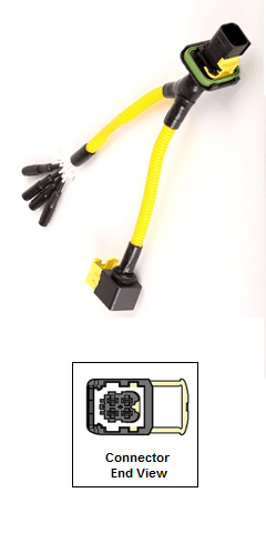 Harness, Breakout | International