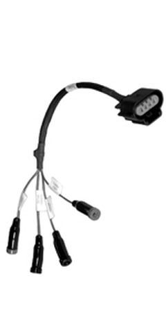 Harness, Breakout | International