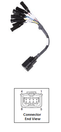 Harness, Breakout – International