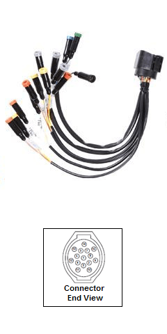 Harness, Breakout – International